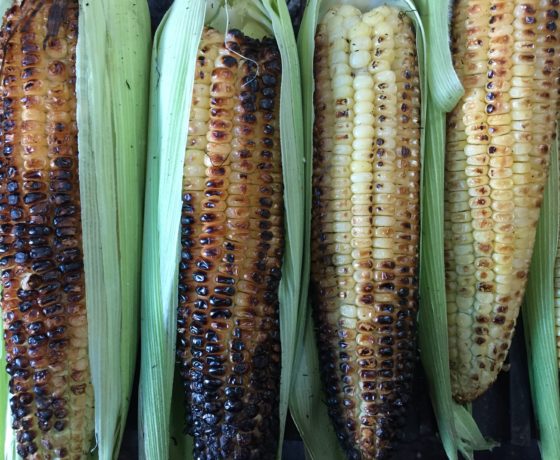 Mexican Food 101 - Food tour Mexico City